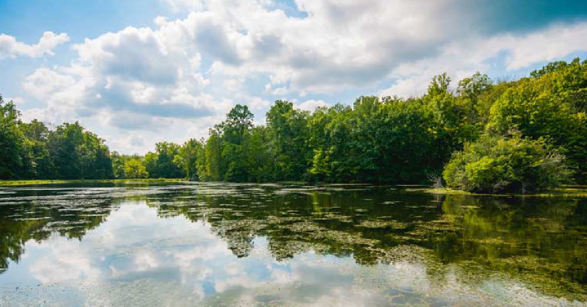 Lilly Lake: Serenity Awaits at Eagle Creek Park