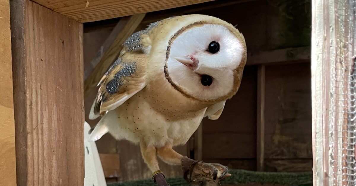 Support Eagle Creek Park Foundation - Make a Difference